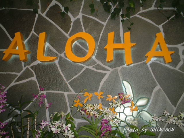 ハワイお役立ち情報: Aloha! from Japan...Hawaii